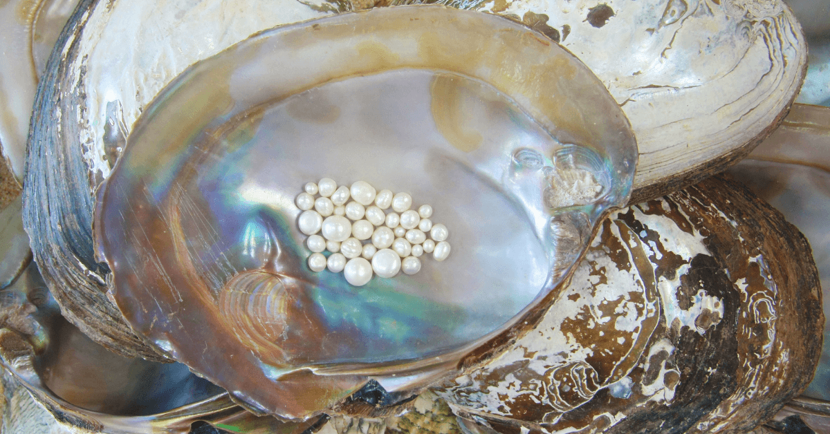 Pearl Color: Choosing The Right Color Pearl For Your Pearl Jewelry ...