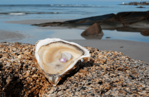 Pearl Grading Guide For Buyers: Pearl Grading Simplified | LOVELEMENTS ...